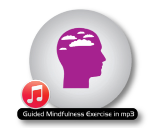 Learn To Teach Mindfulness-overview - The Ultimate Mindfulness Toolkit